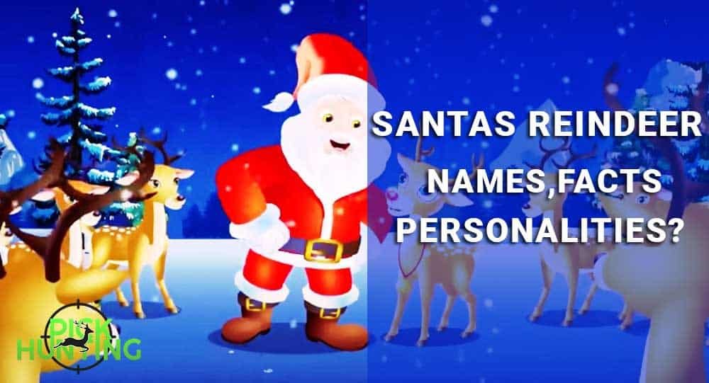 Santas Reindeer Names, Facts, Personalities With Story