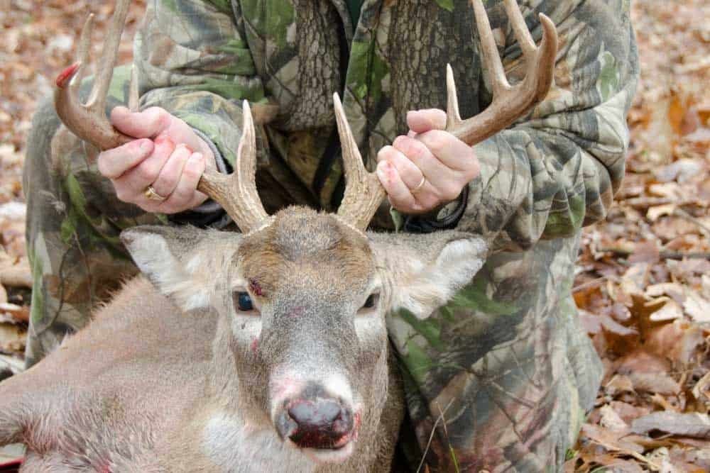 Deer Hunting Guide 101 | All About Deer Hunting